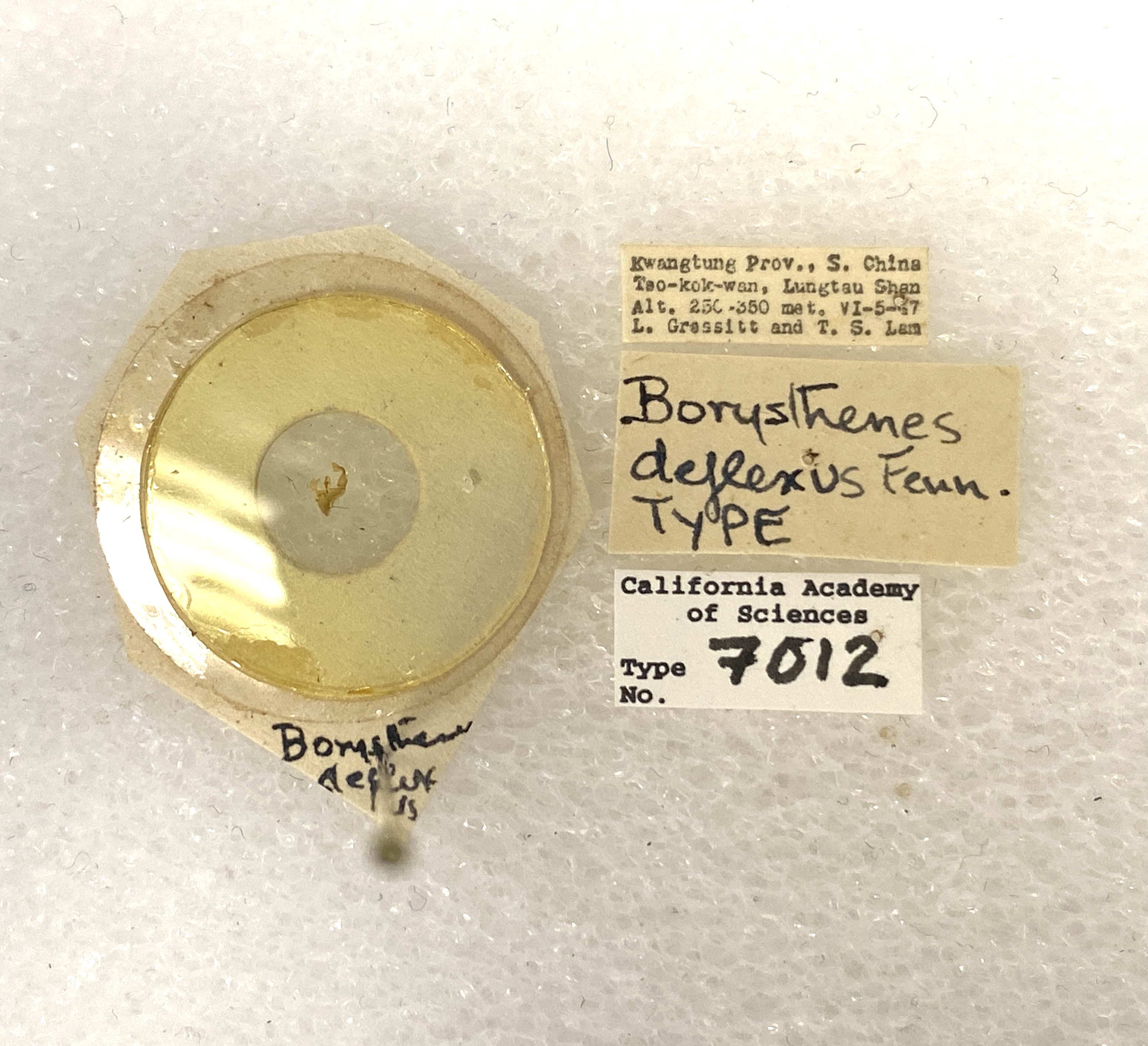 MonarchDetailed Collection Record Information